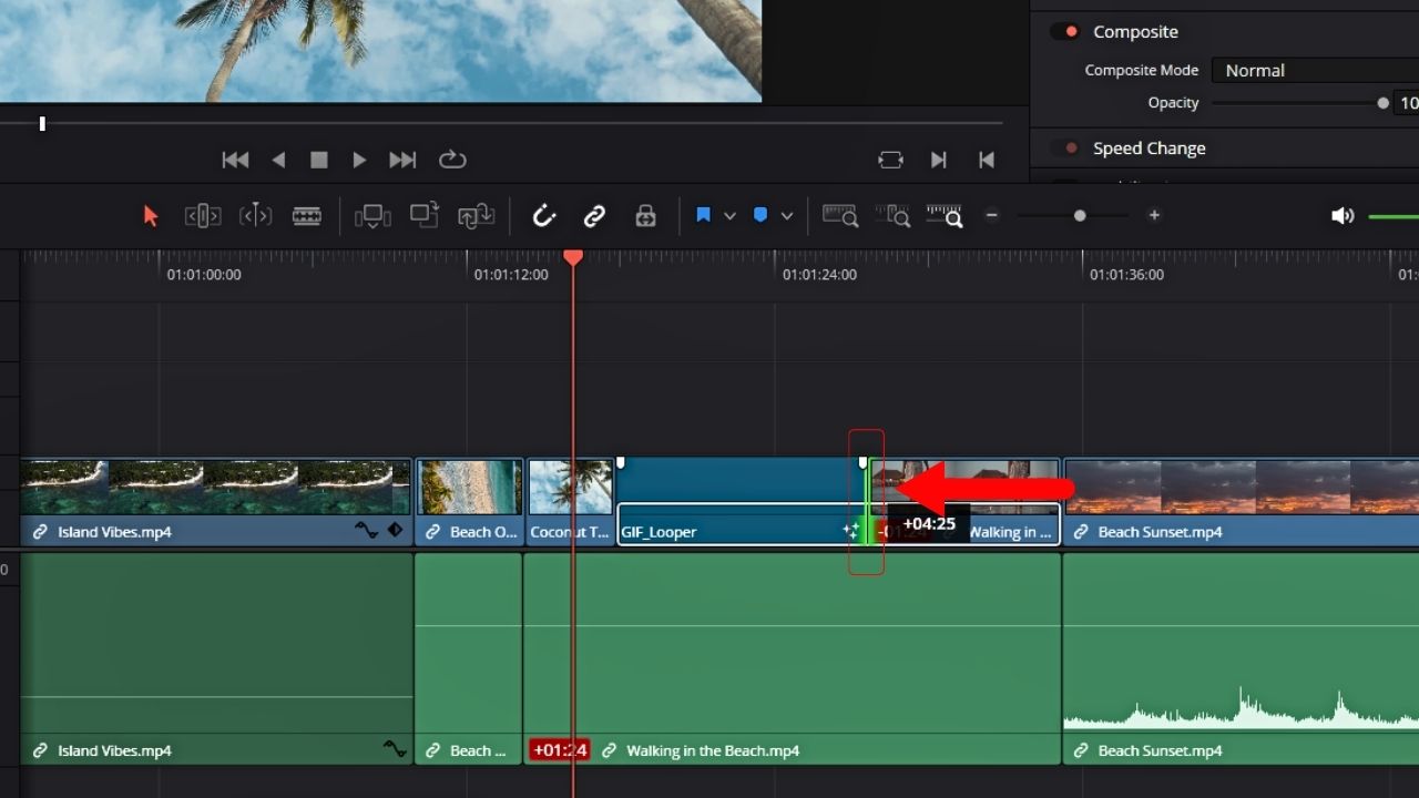 Import GIF to DaVinci Resolve: 5 Basic Steps (2024)