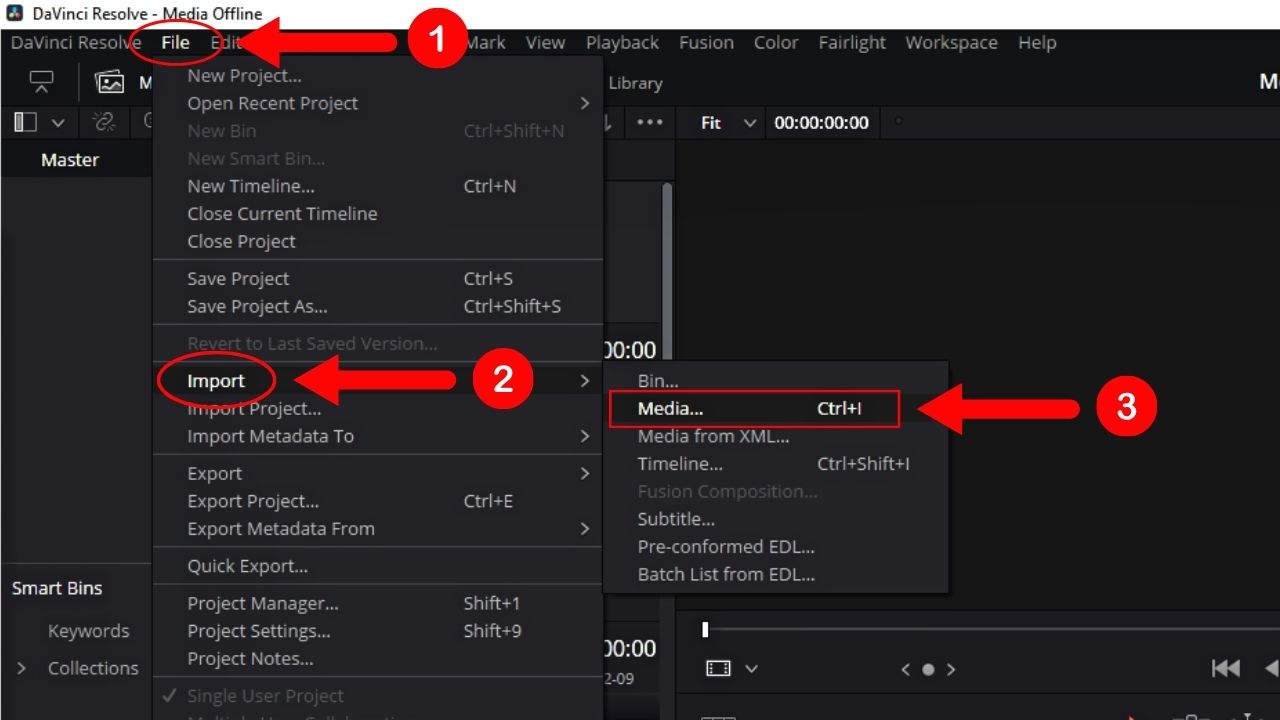 Import GIF to DaVinci Resolve: 5 Basic Steps (2024)